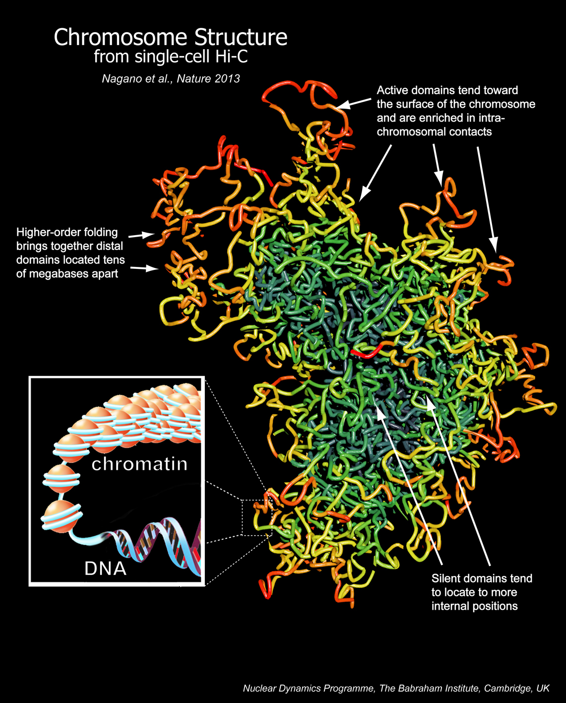 FSU Biology - Directories - Faculty
