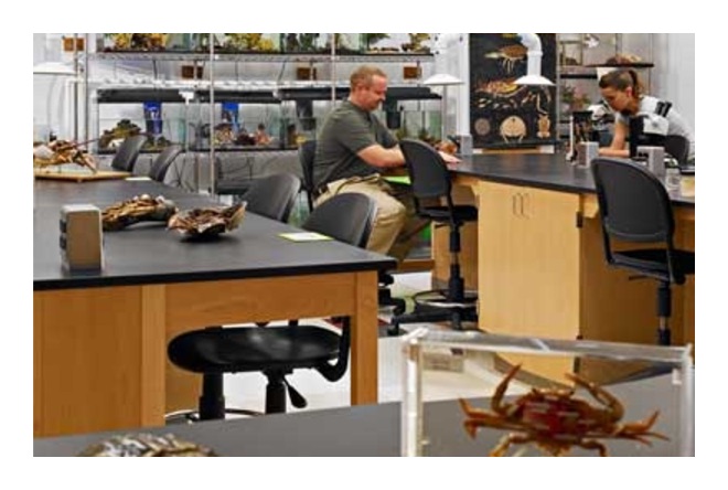 FSU Biology - Graduate Studies in Biological Sciences