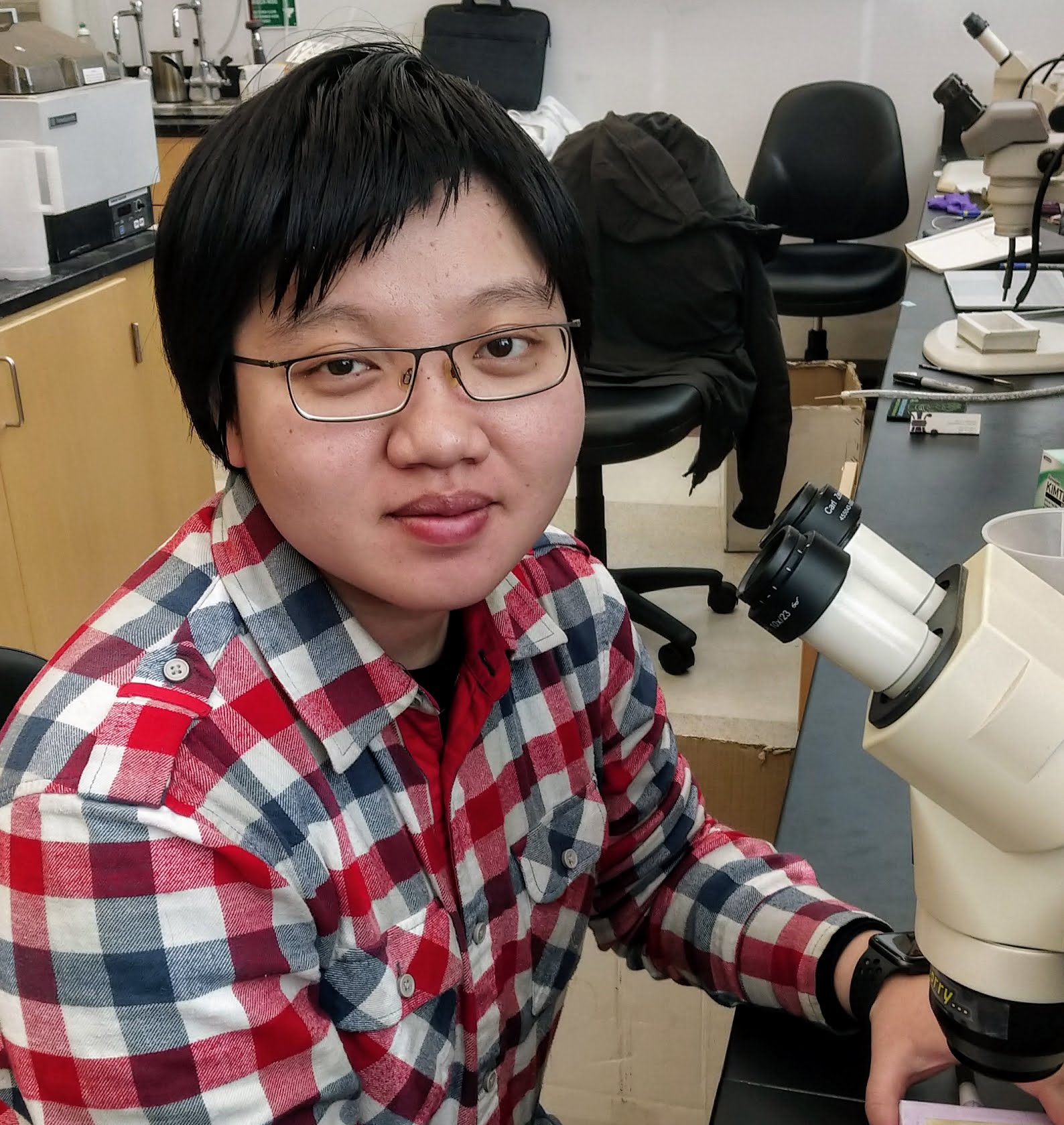 Welcome to Deng's Fly Lab