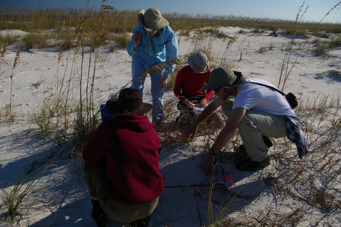 St. George Census 2006